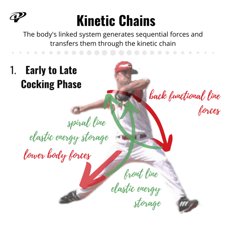 The Kinetic Chain in Overhead Sports: A Linked System