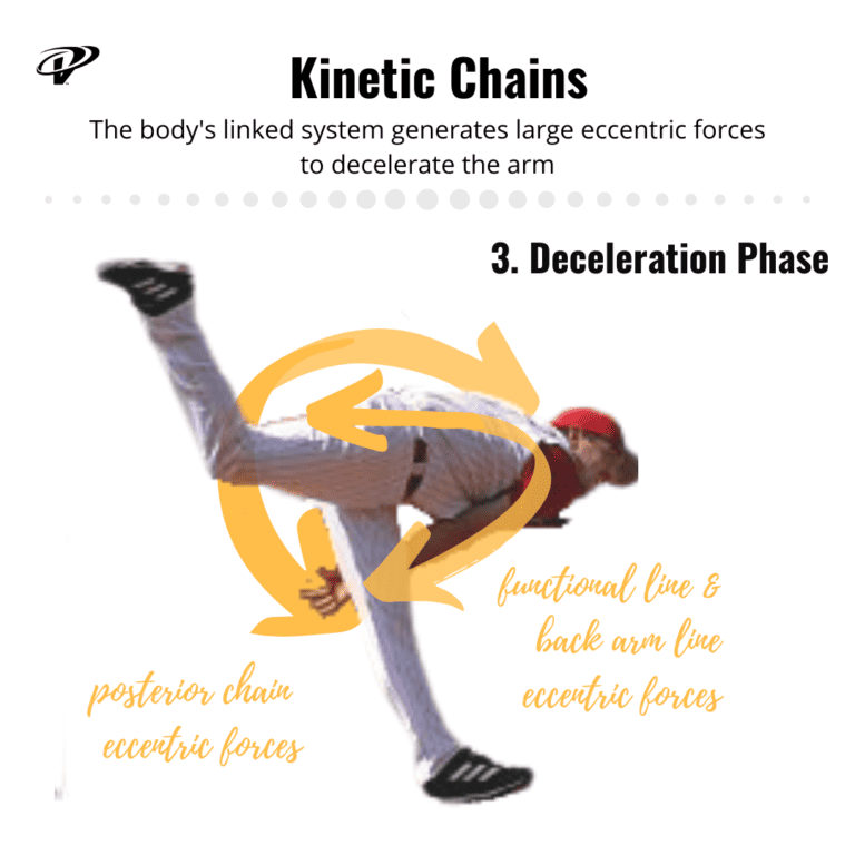 The Kinetic Chain in Overhead Sports: A Linked System