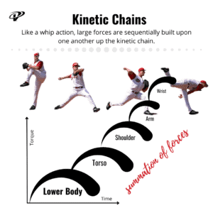 The Kinetic Chain in Overhead Sports: A Linked System